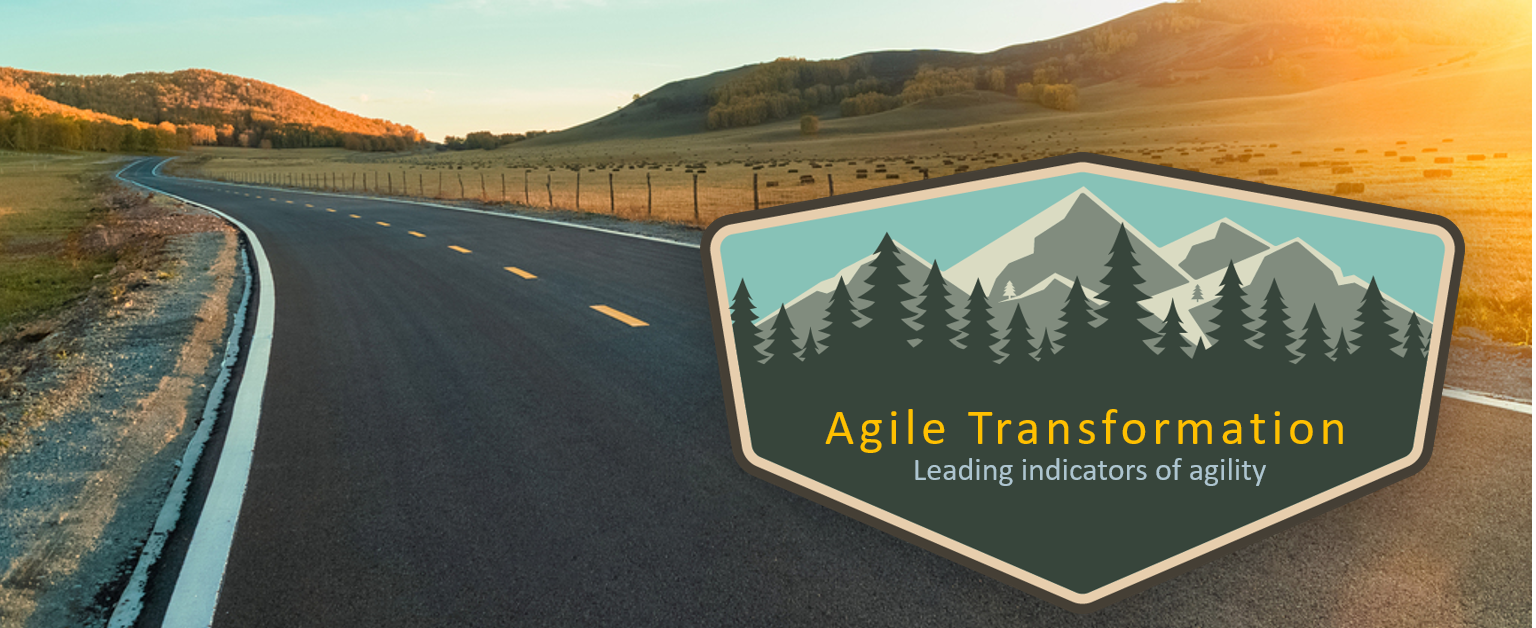 Leading indicators of agility
